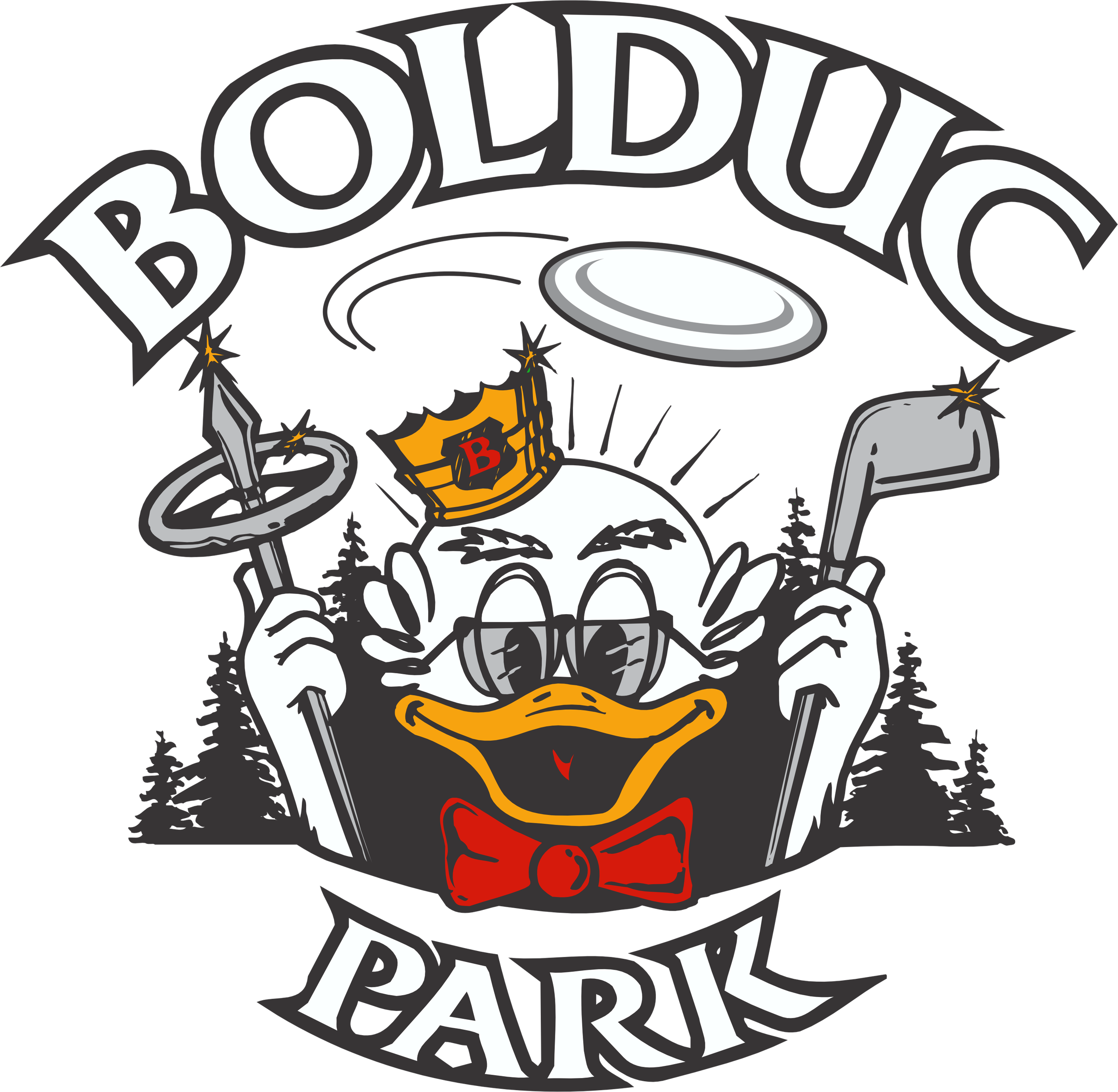 Leagues | Bolduc Park Association